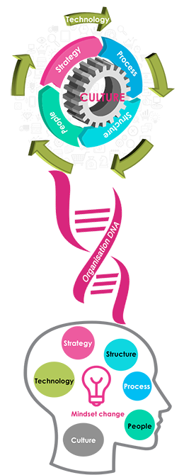 Successful Business Evolution in the 21st Century Starts with a Radical ...